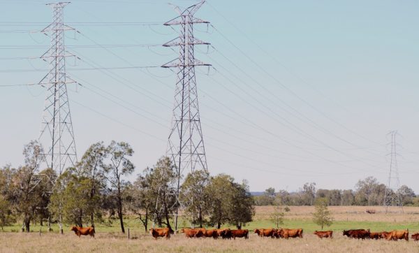 Western Renewables Link - What Landowners Need to Know About the EES ...